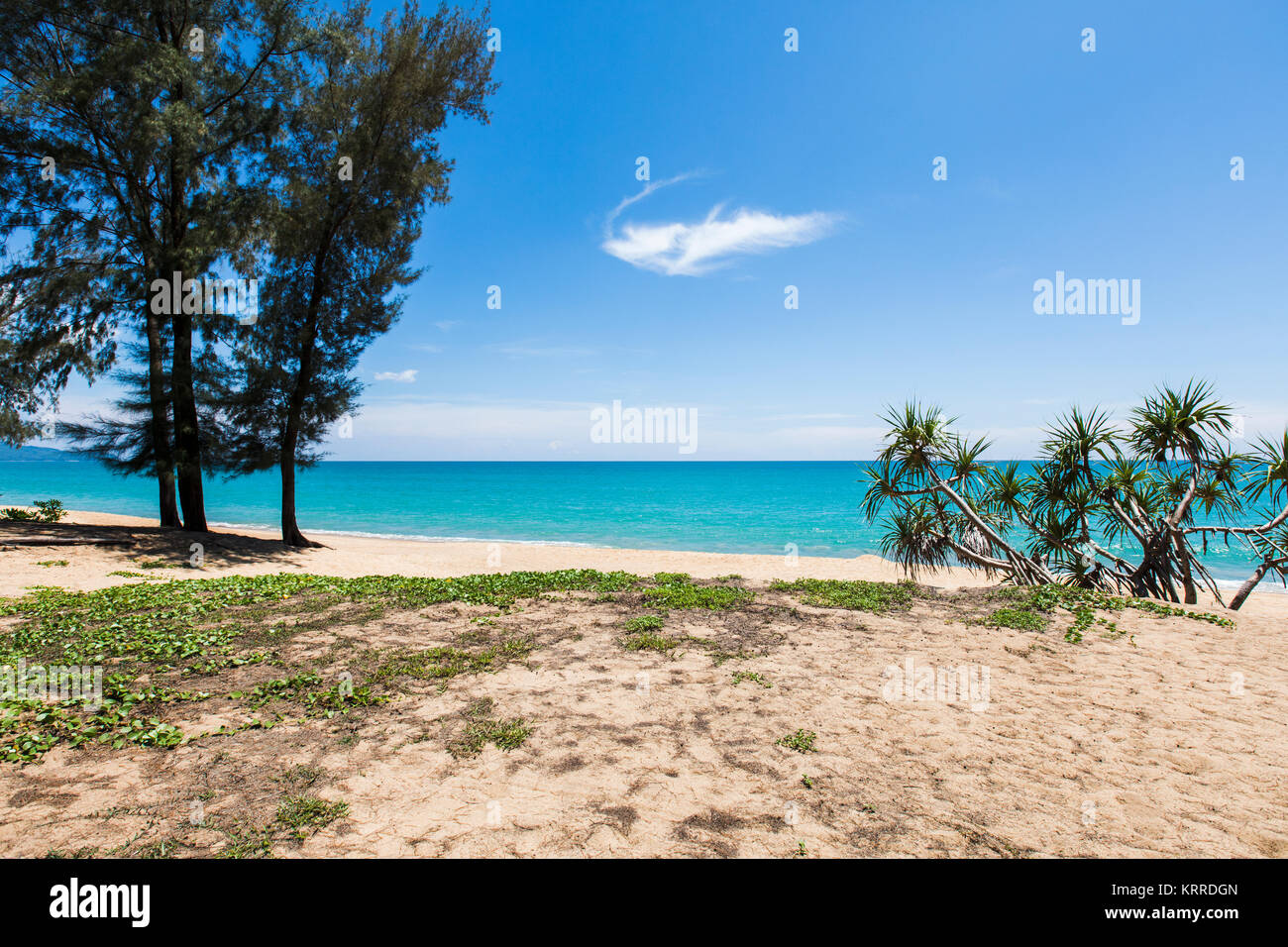 View of beach during daytime Stock Photo - Alamy