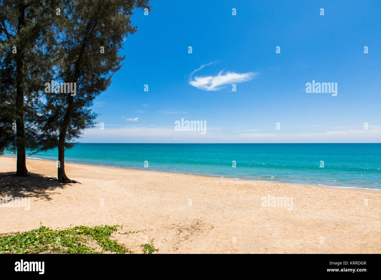 View of beach during daytime Stock Photo - Alamy