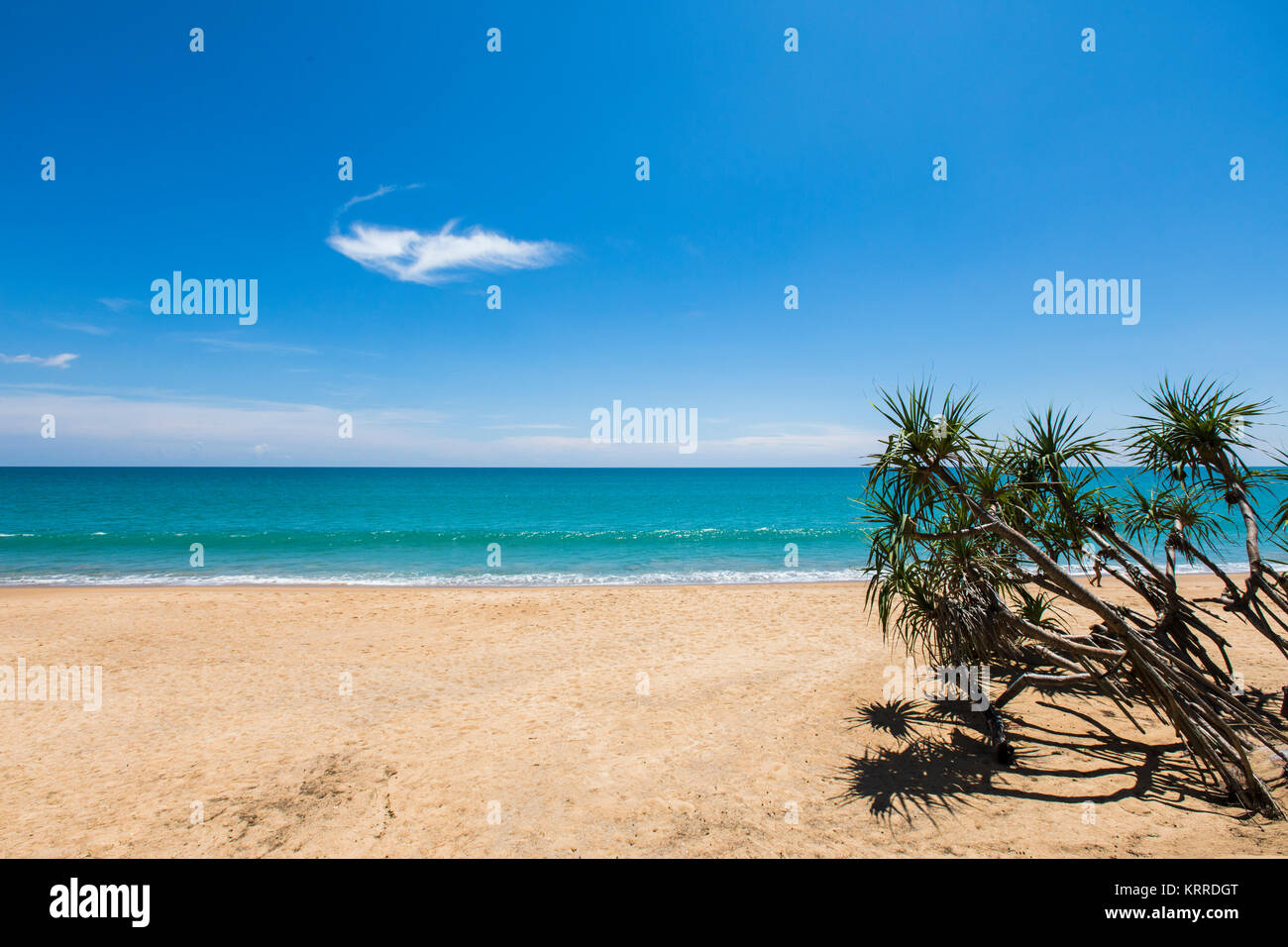 View of beach during daytime Stock Photo - Alamy