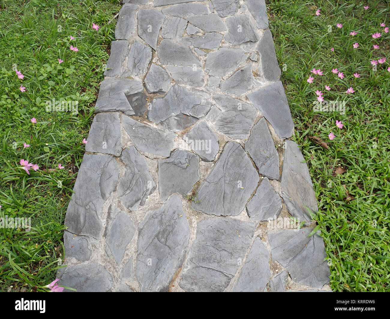 grey stone walkway on the rain lily garden Stock Photo - Alamy