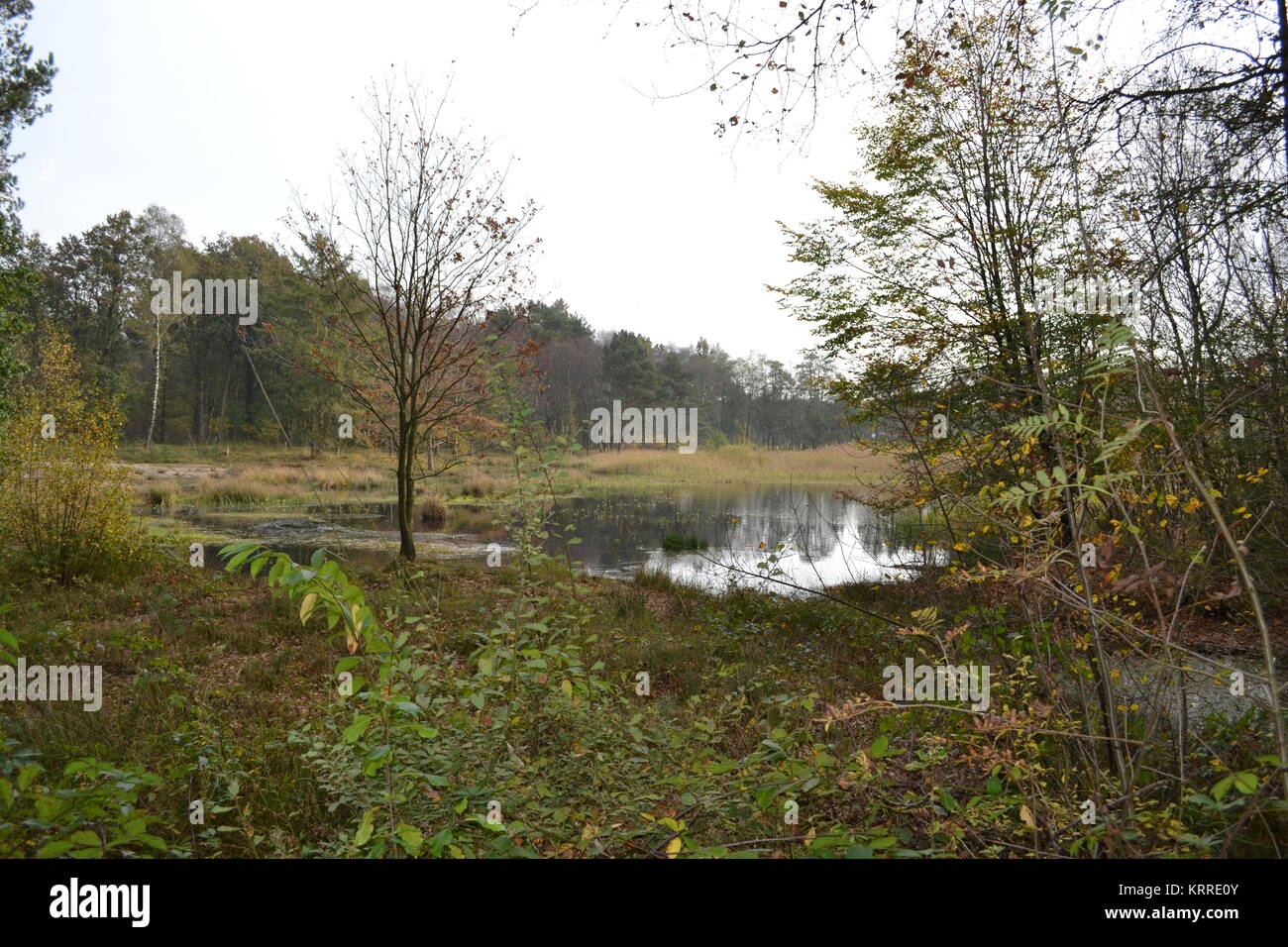 Peaceful netherlands hi-res stock photography and images - Alamy