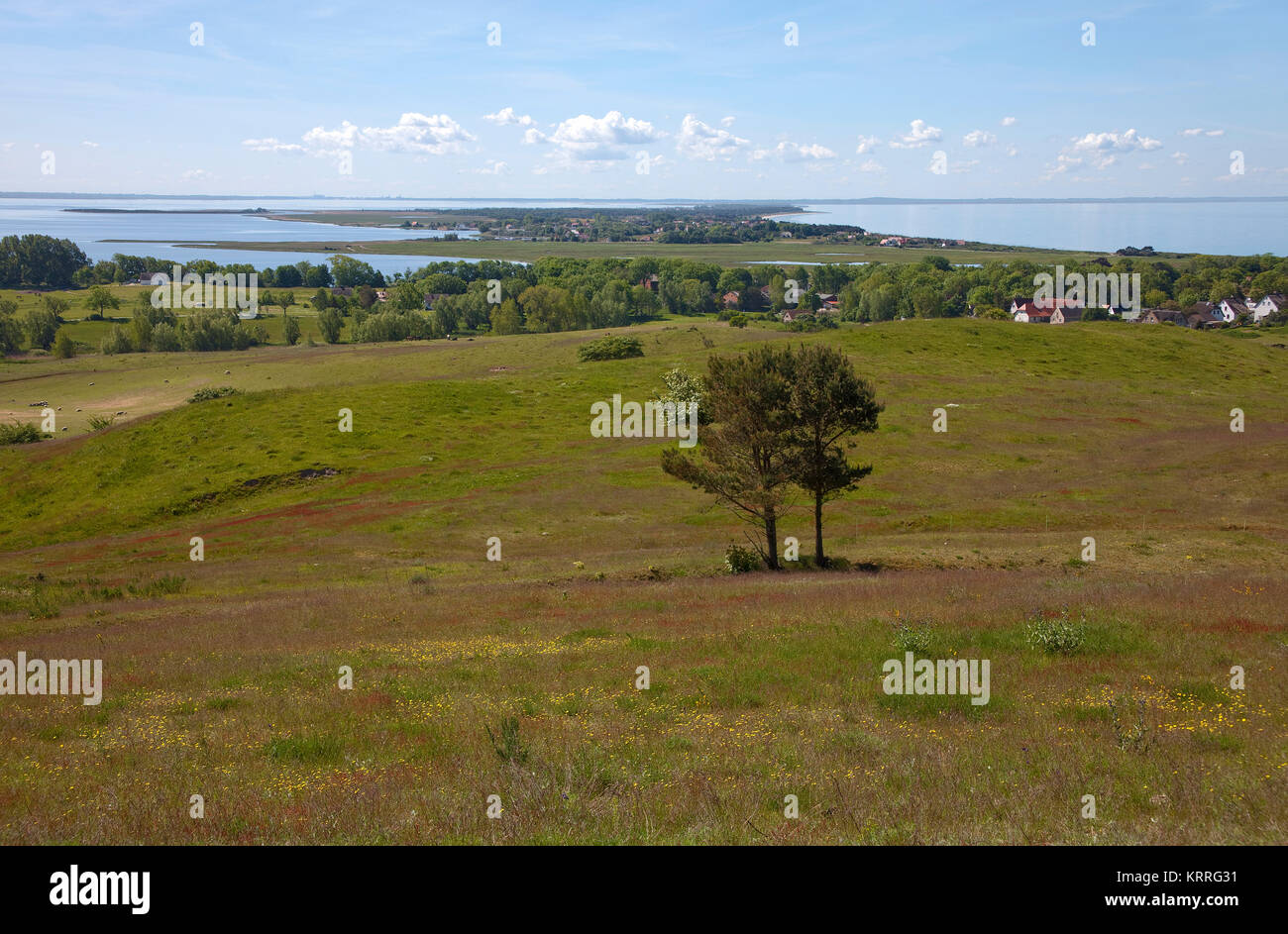 Landscape at the National park "Vorpommersche National park", Hiddensee ...