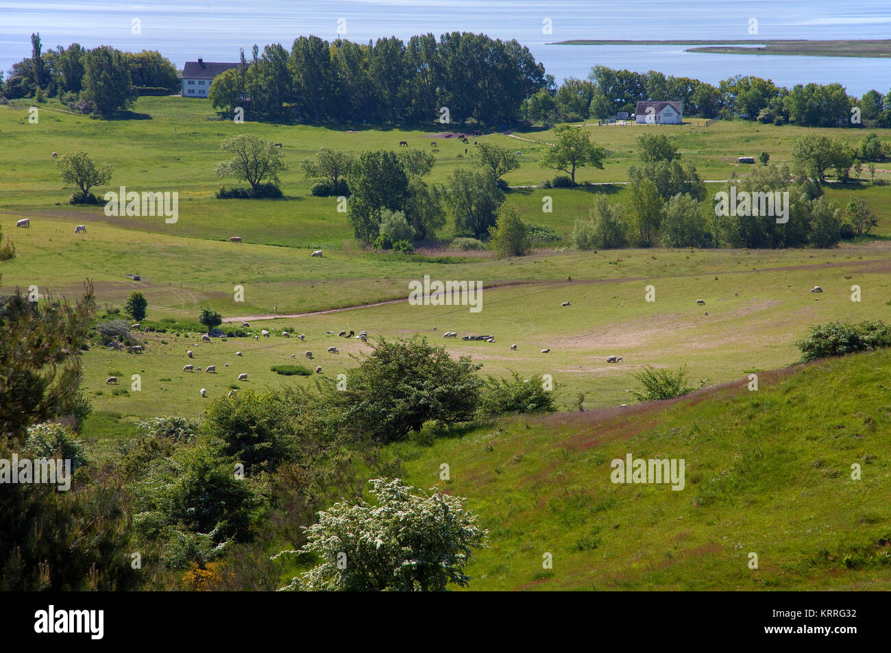 Landscape at the National park "Vorpommersche National park", Hiddensee ...