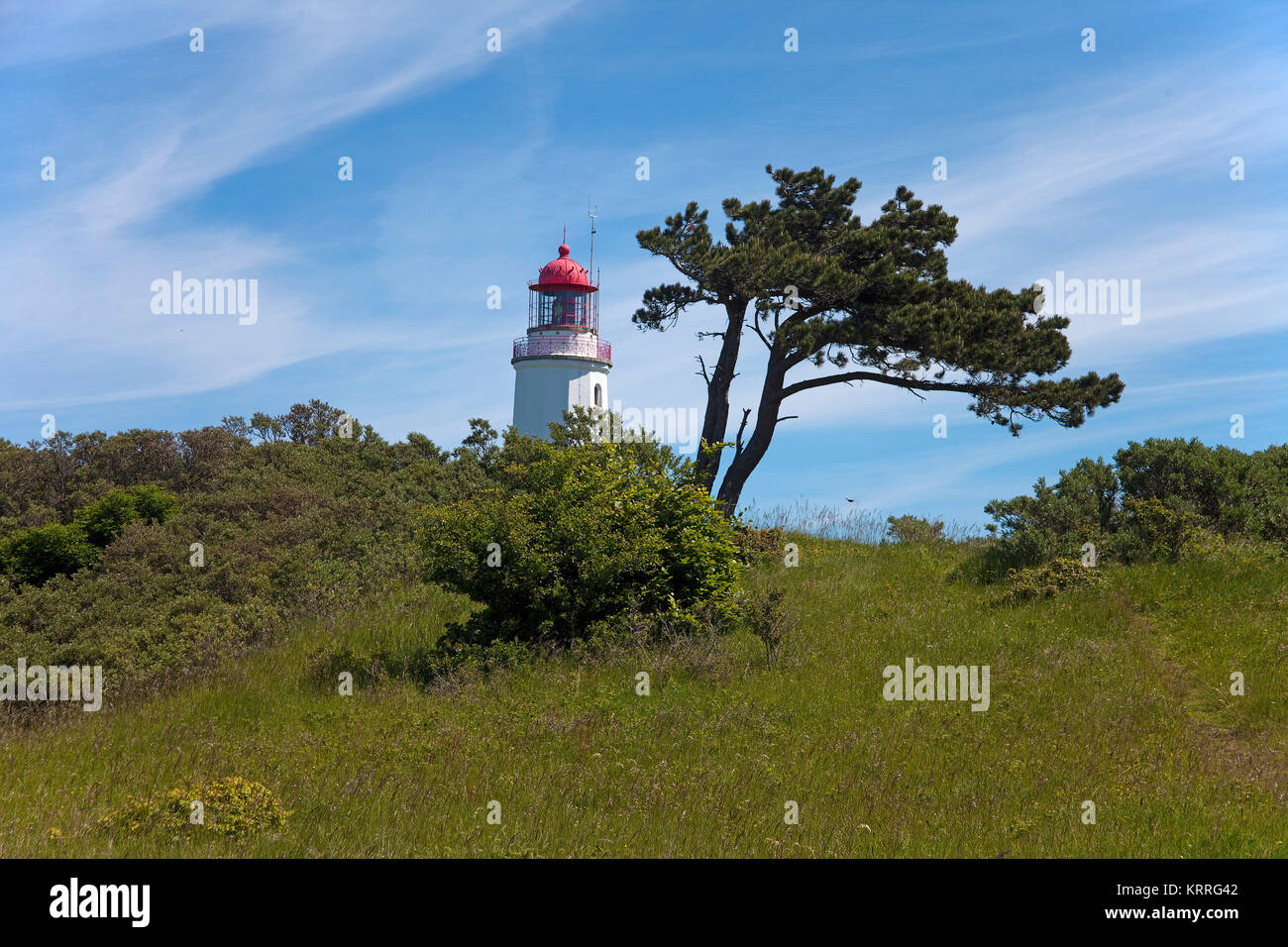 Wind dodger and lighthouse Dornbusch on Schluckwiekberg, landmark of ...