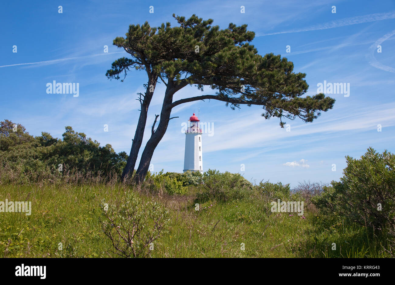Wind on sea hi-res stock photography and images - Alamy