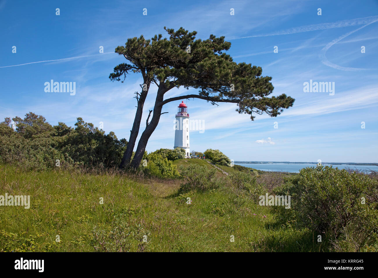 Wind dodger and lighthouse Dornbusch on Schluckwiekberg, landmark of ...