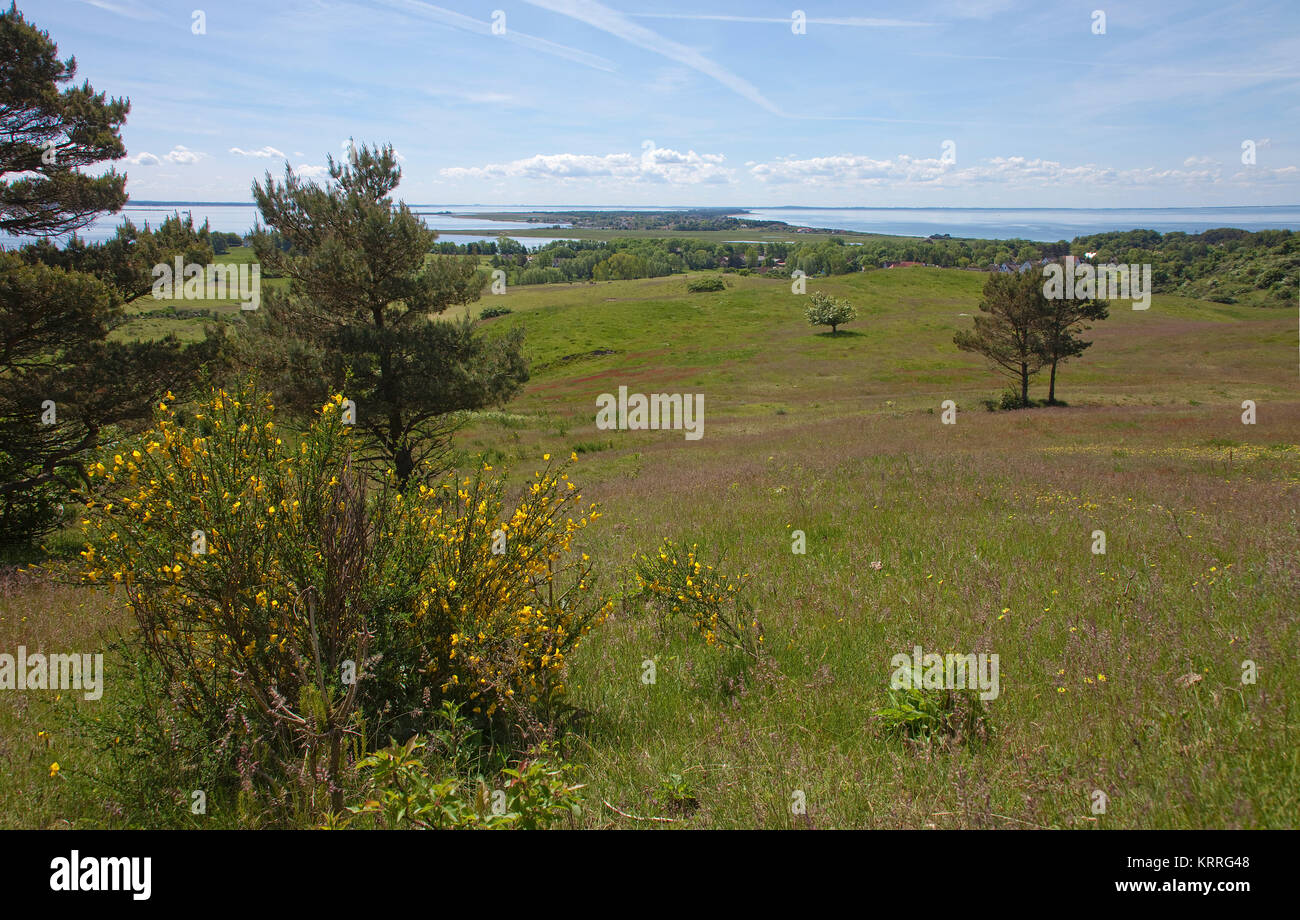 Landscape at the National park "Vorpommersche National park", Hiddensee ...