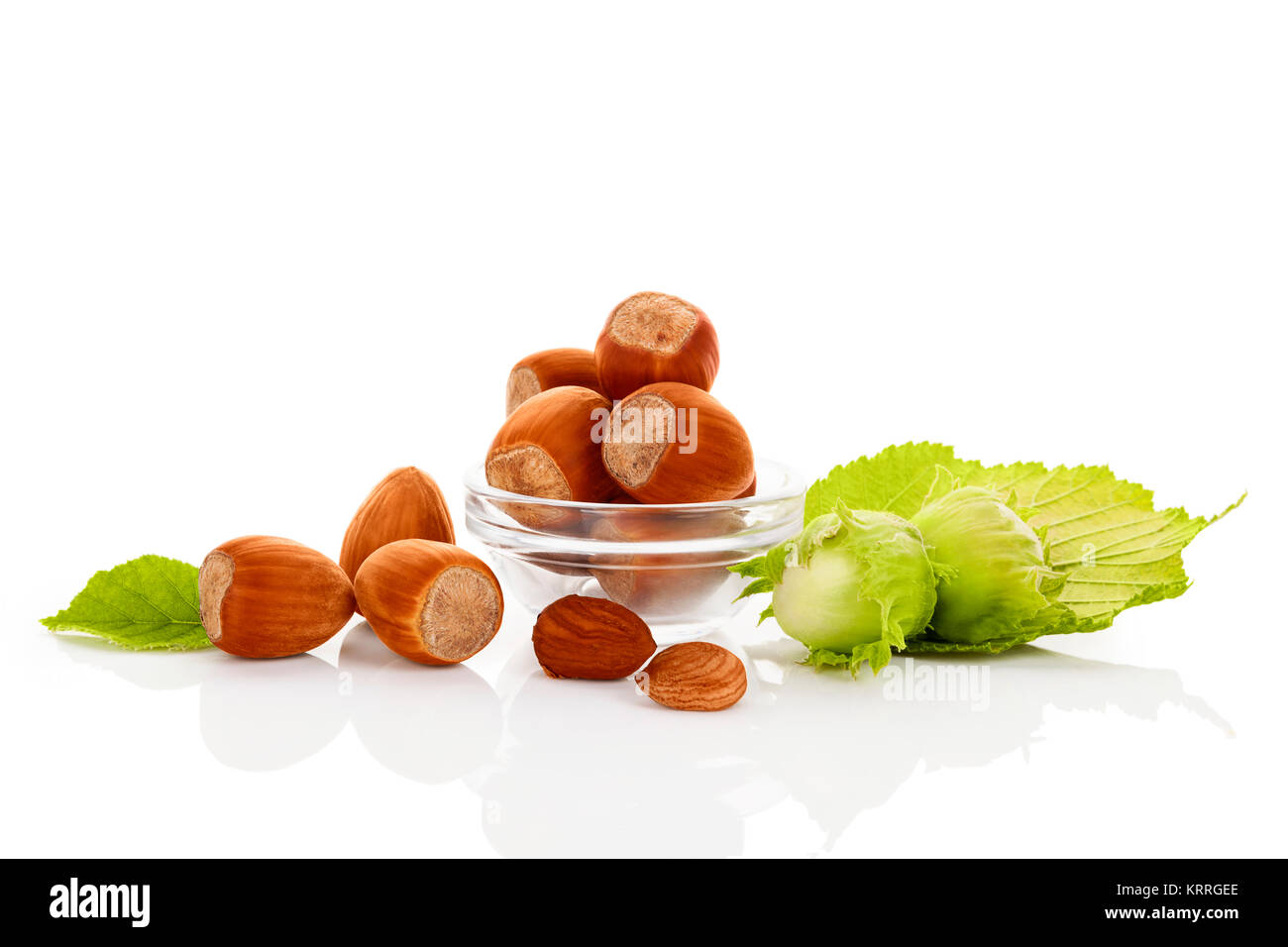 Fresh pile of Hazelnuts with leaves and hazelnut fruits isolated on ...