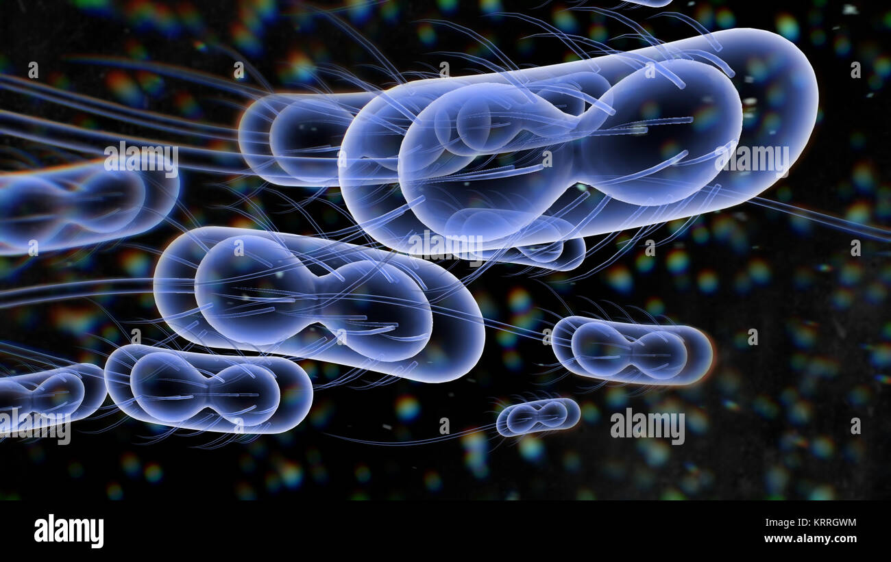 Listeria microscope hi-res stock photography and images - Alamy