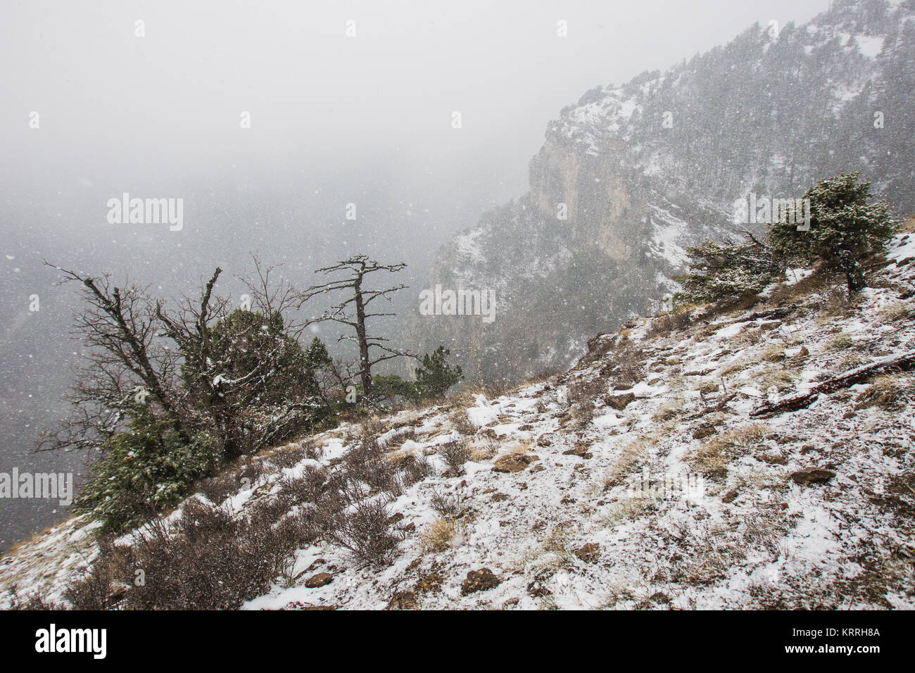 Heavy snow in the mountain trekking Stock Photo - Alamy