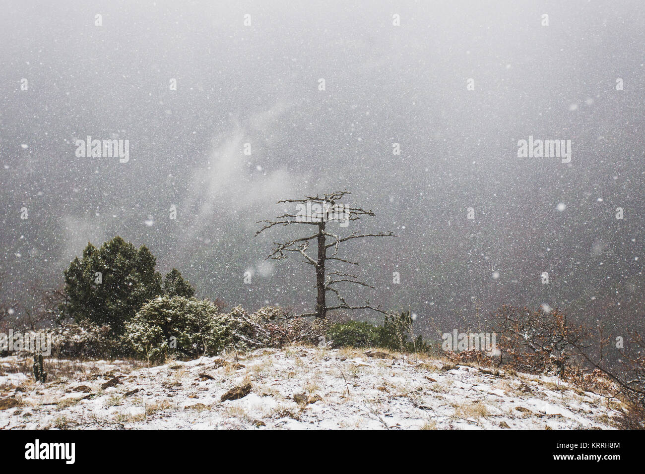 Heavy snow in the mountain trekking Stock Photo - Alamy