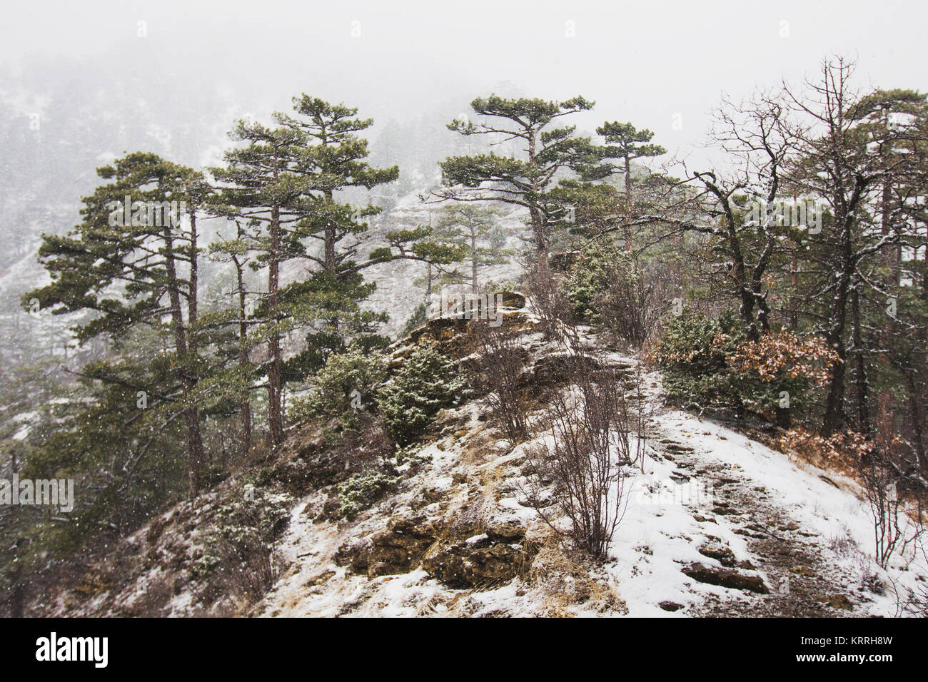 Heavy snow in the mountain trekking Stock Photo - Alamy
