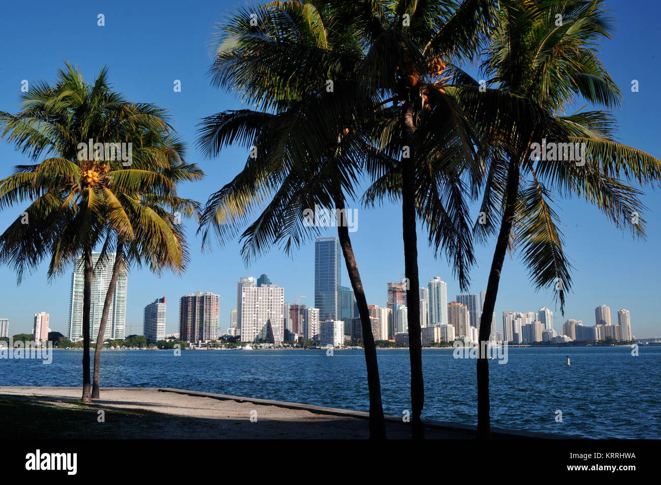 Miami skyline, Brickell Avenue, sunny day with blue skies over water ...