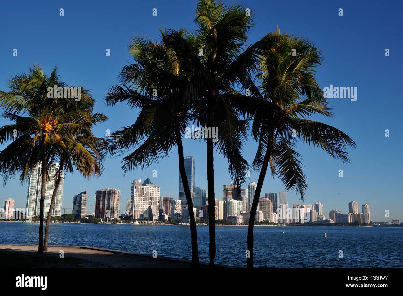 Miami skyline, Brickell Avenue, sunny day with blue skies over water ...