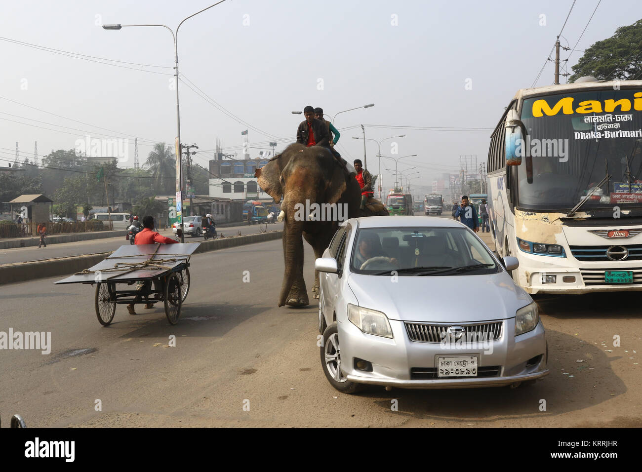 Elephant road dhaka hi-res stock photography and images - Alamy