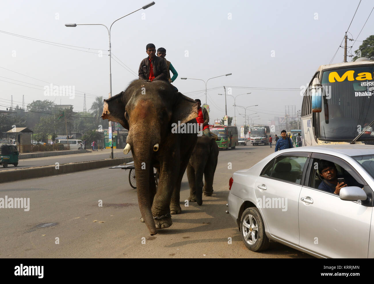 Elephants on highway hi-res stock photography and images - Alamy