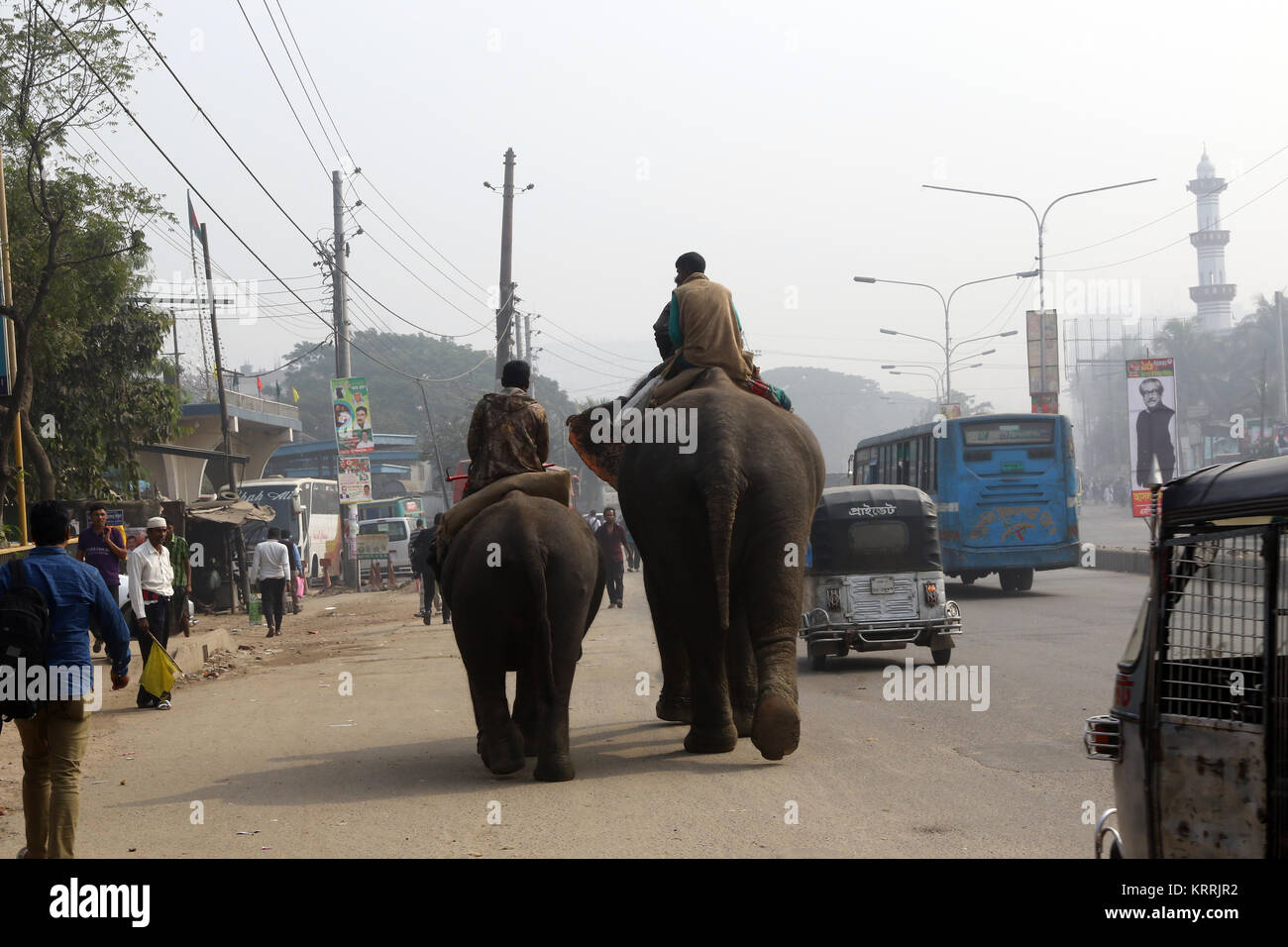 Elephant road dhaka hi-res stock photography and images - Alamy