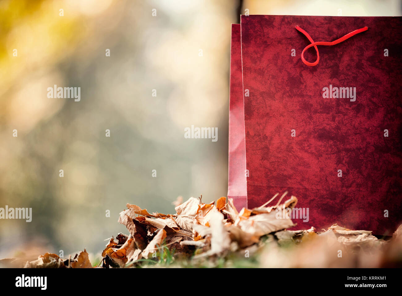 Shopping bags outside in autumn leaves, concept Stock Photo - Alamy