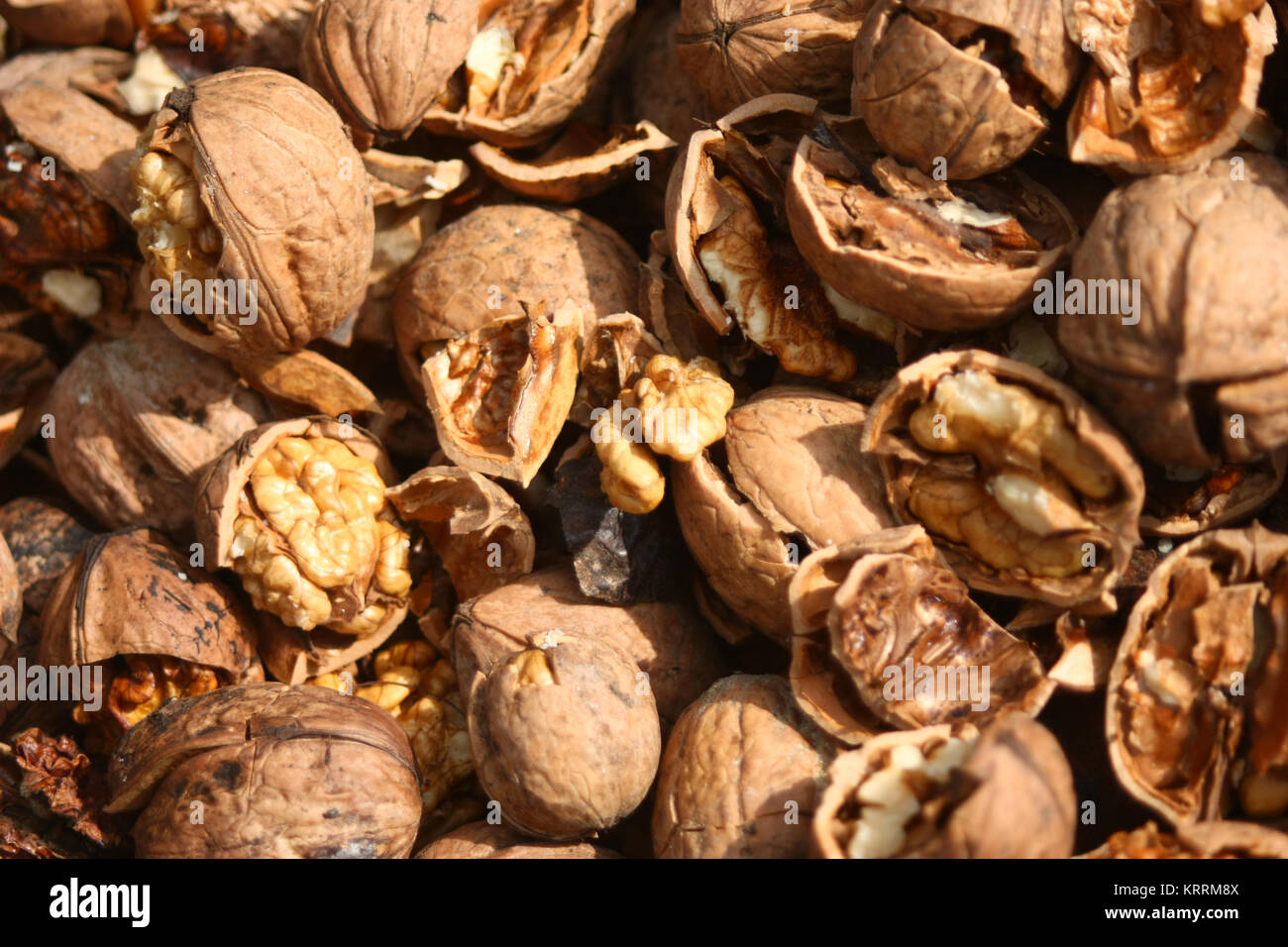 Cracked nuts, fruits of wallnut, Juglans regia L Stock Photo - Alamy