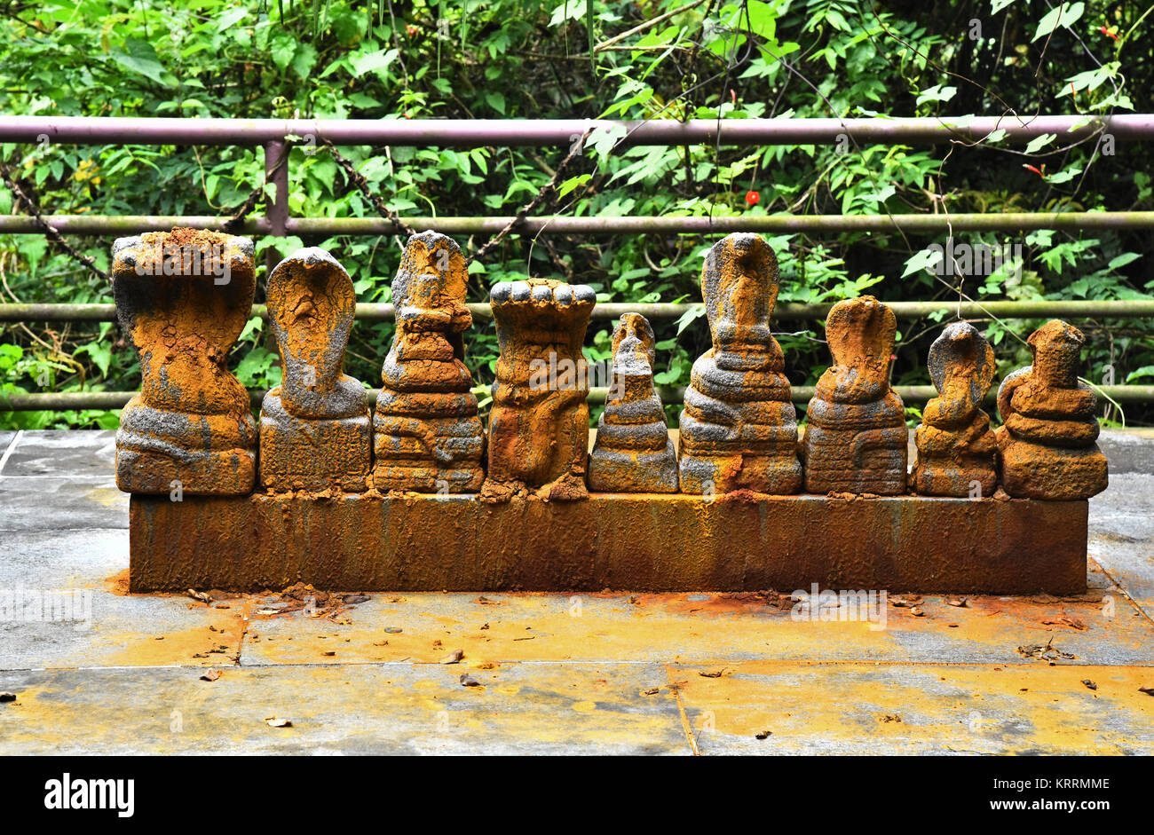 Mannarasala hi-res stock photography and images - Alamy