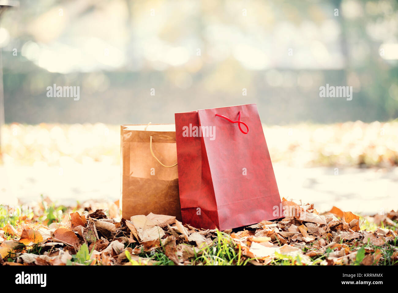 Shopping bags outside in autumn leaves, concept Stock Photo - Alamy