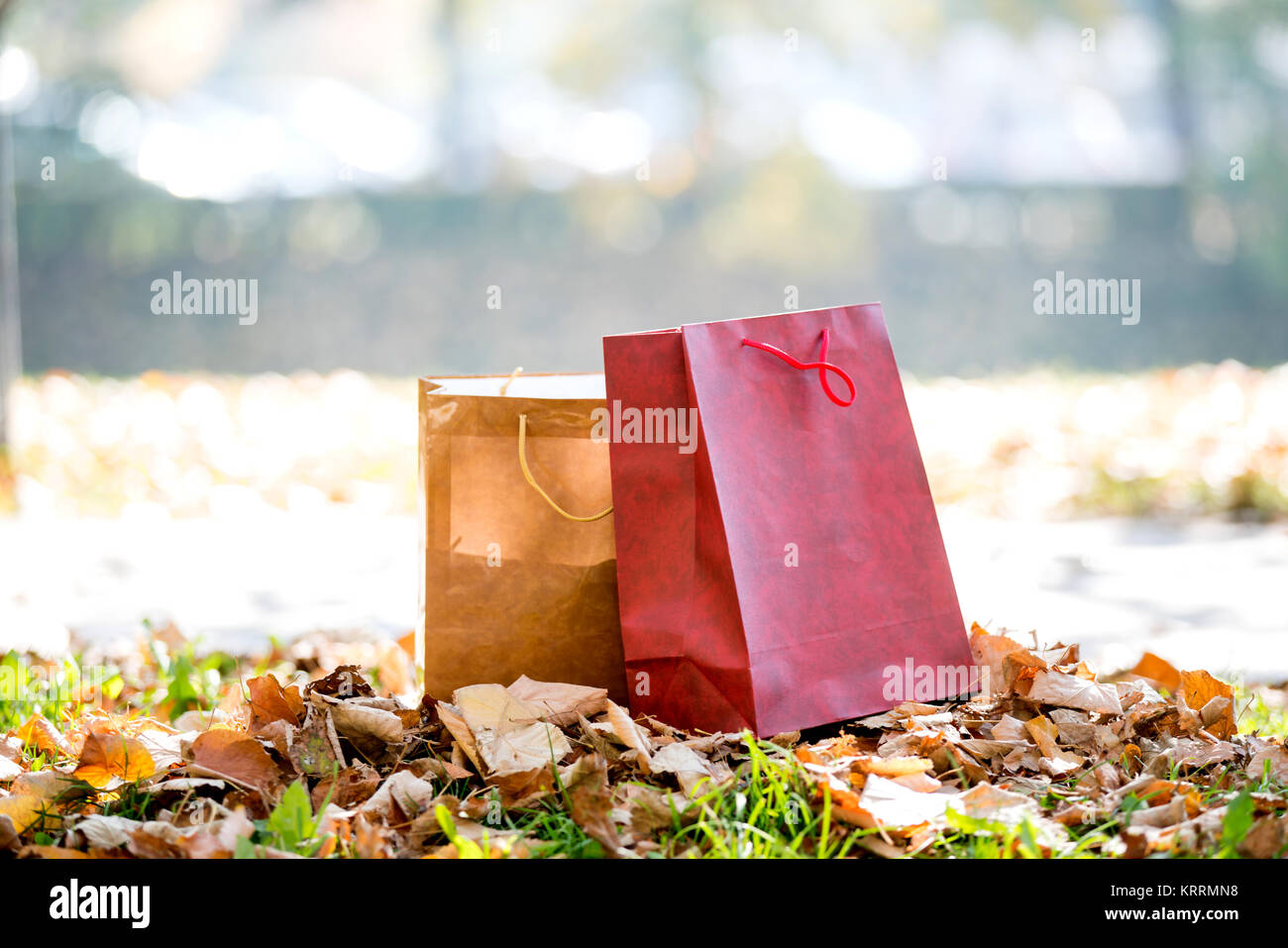 Shopping bags outside in autumn leaves, concept Stock Photo - Alamy