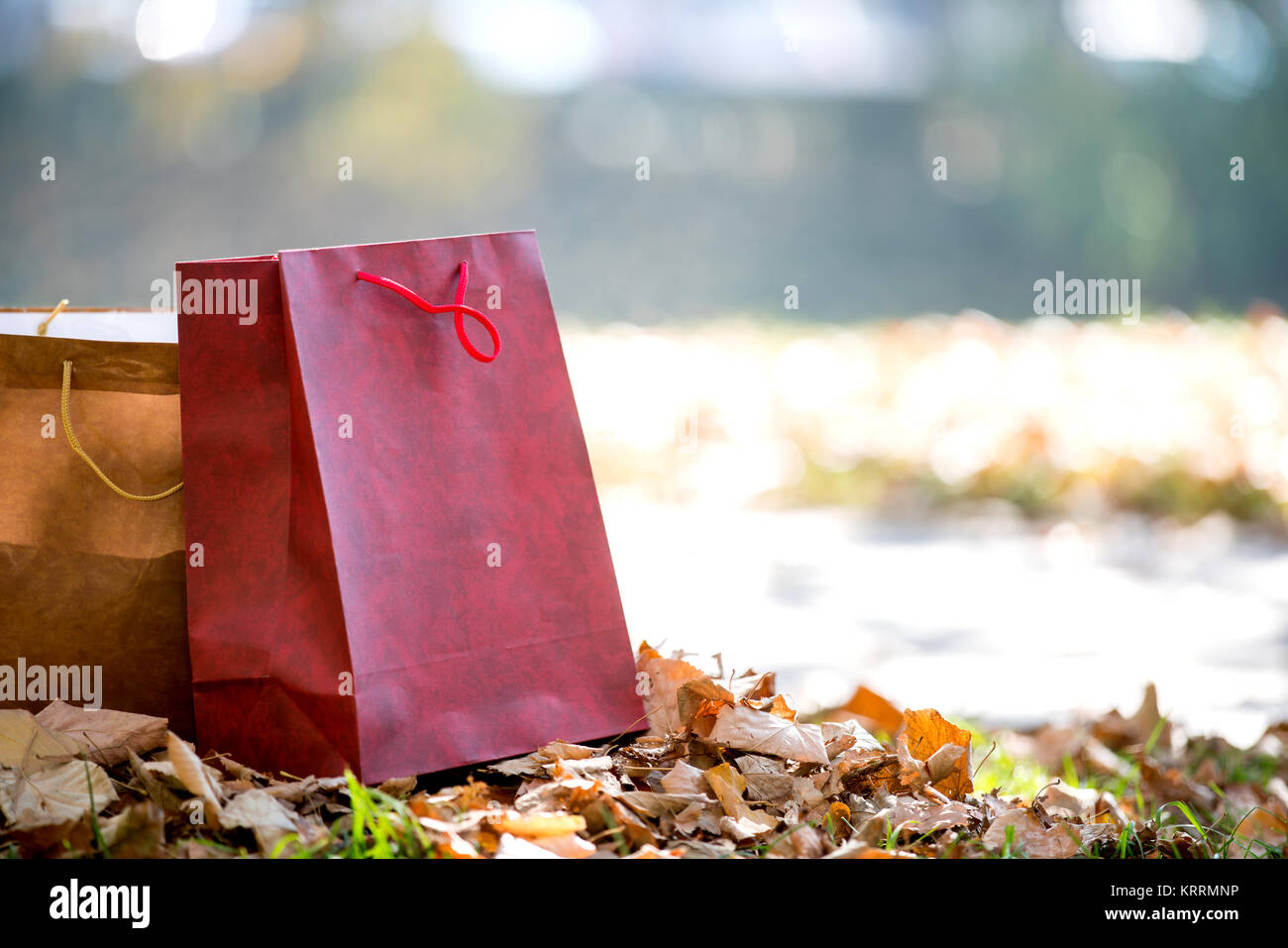 Shopping bags outside in autumn leaves, concept Stock Photo - Alamy