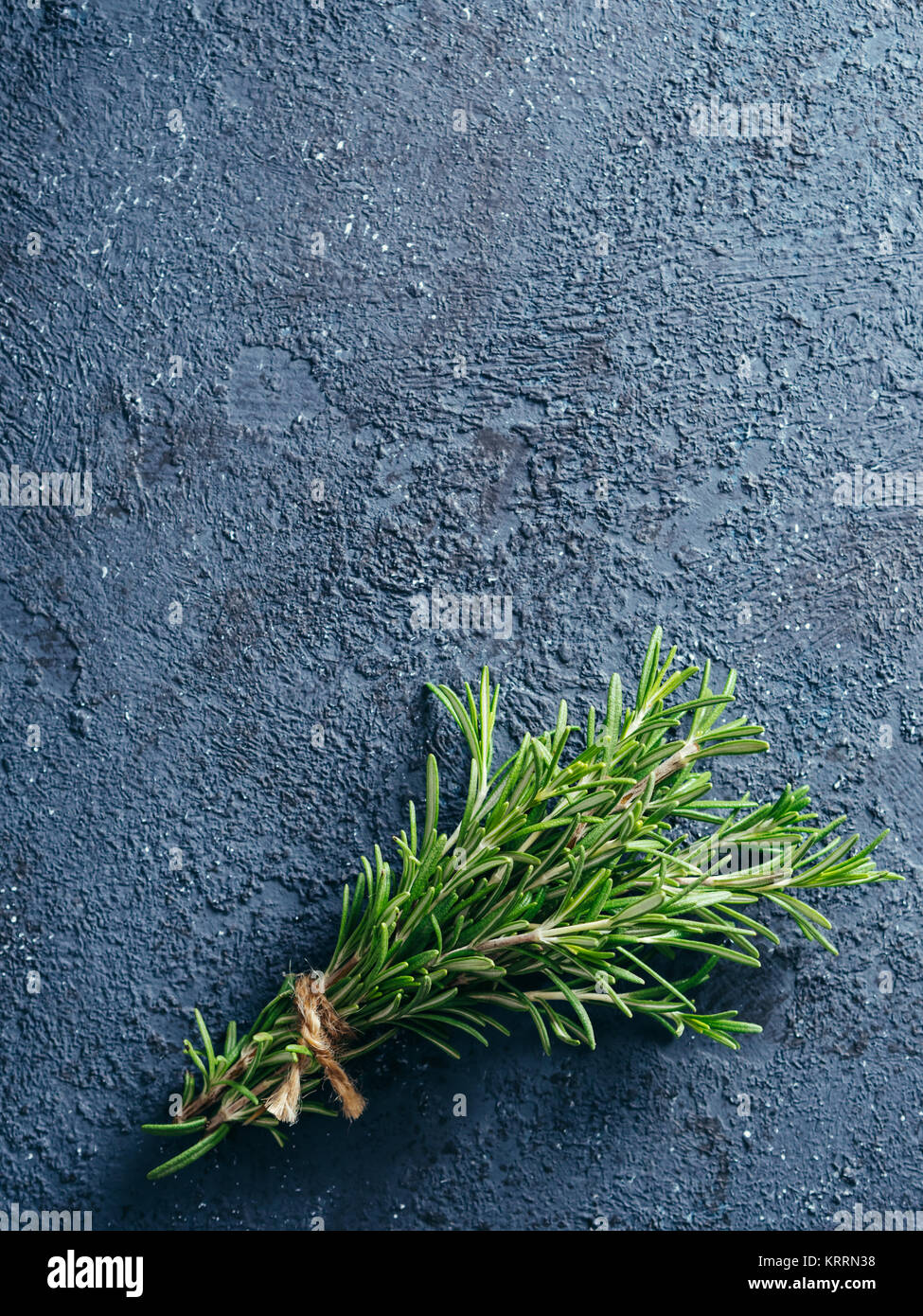 View of the green rosemary plant hi-res stock photography and images ...