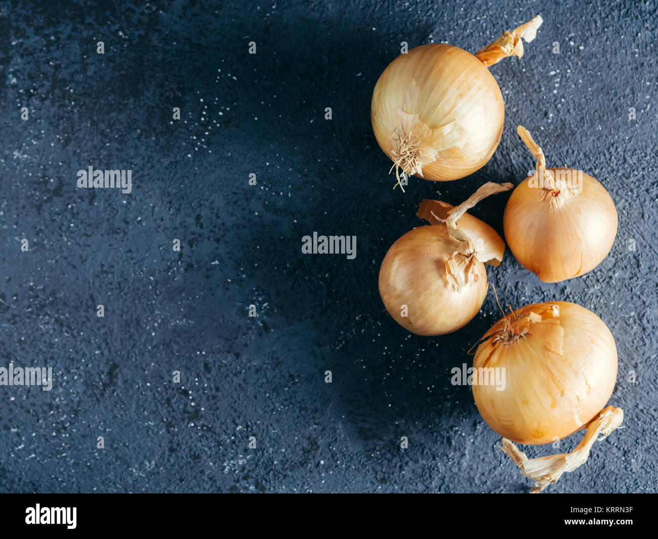 onion on dark blue background Stock Photo - Alamy