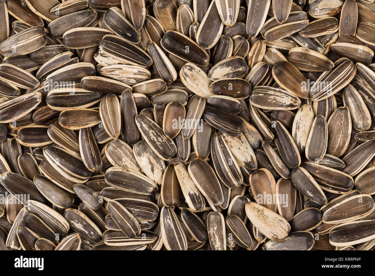 sunflower seeds pile Stock Photo - Alamy