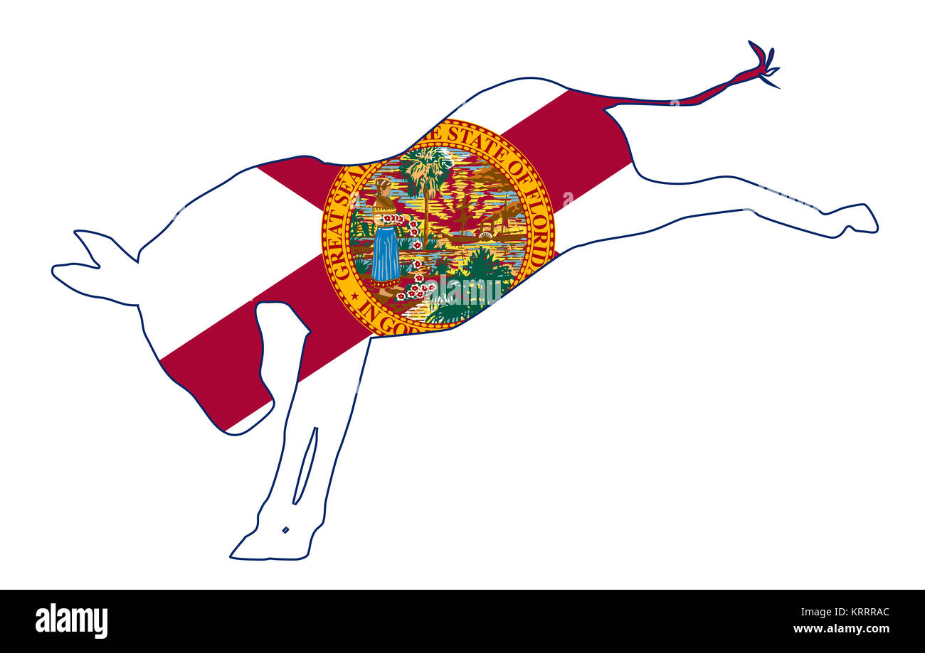 Florida Democrat Donkey Flag Stock Photo - Alamy