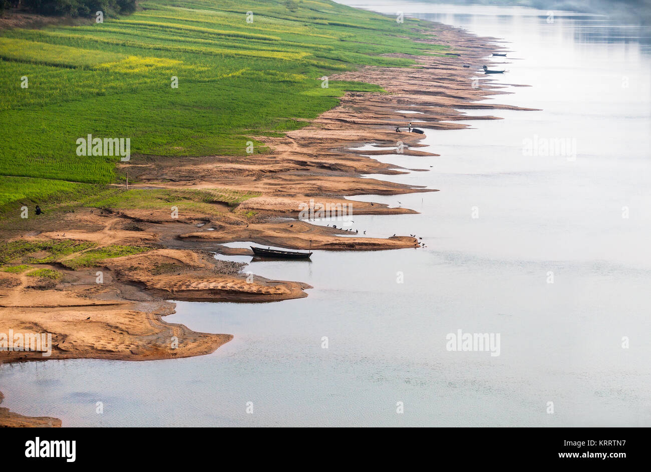 The sprouted crops in the delta of the Ganges River Stock Photo - Alamy