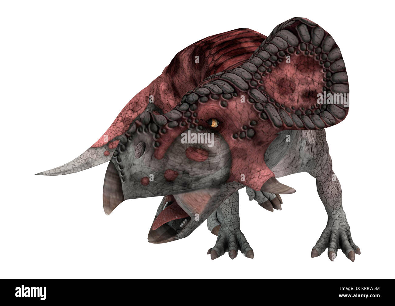 Dinosaur Revolution Protoceratops