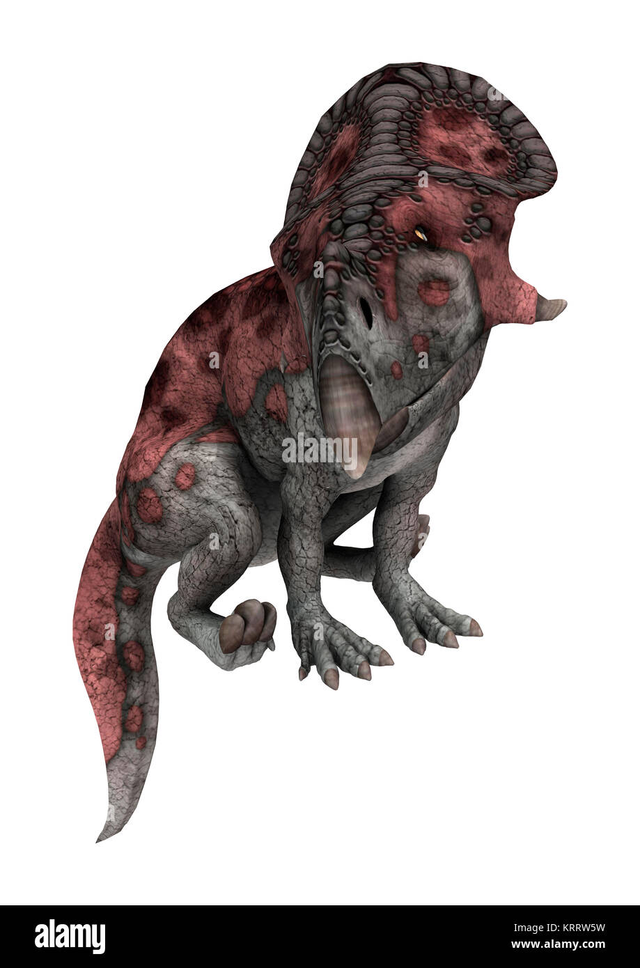 Age of the dinosaur hi-res stock photography and images - Alamy