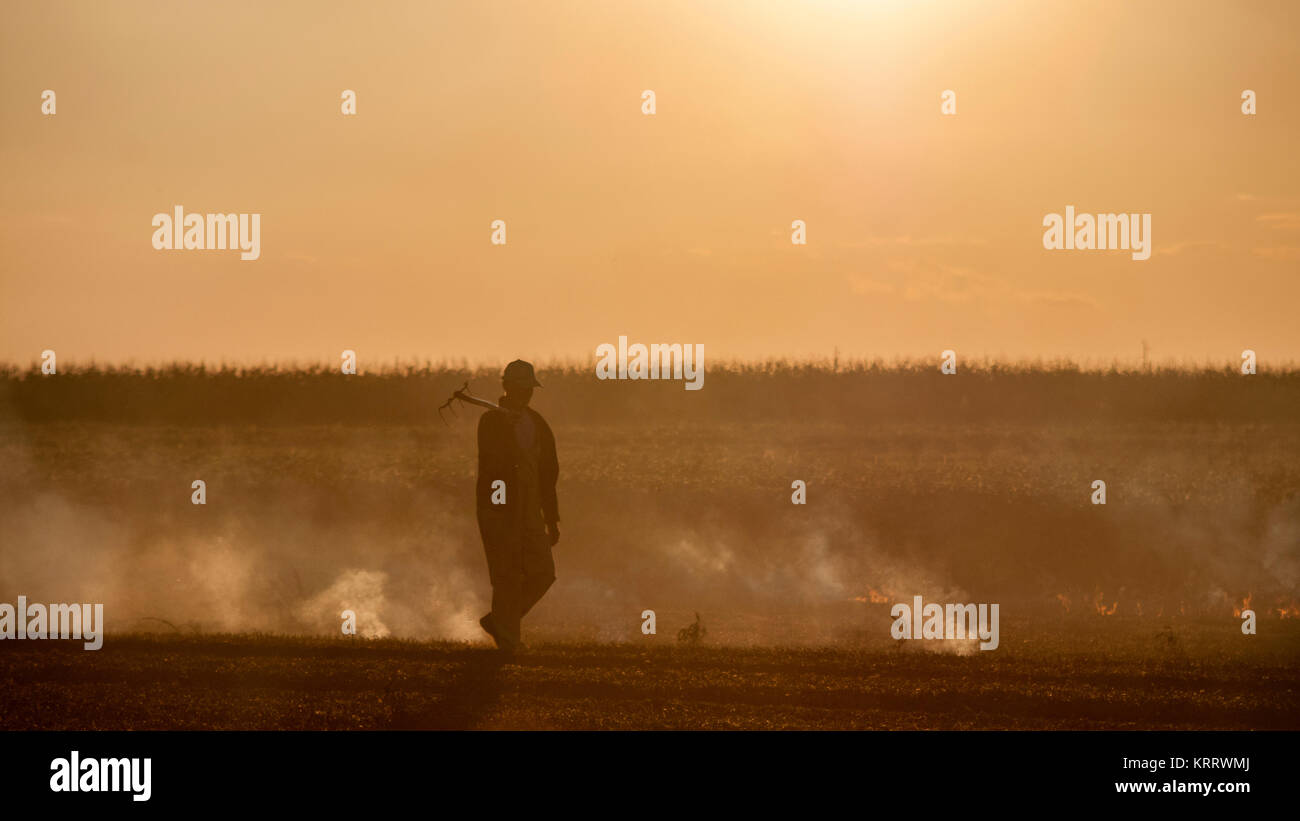 A man walking in the field Stock Photo - Alamy