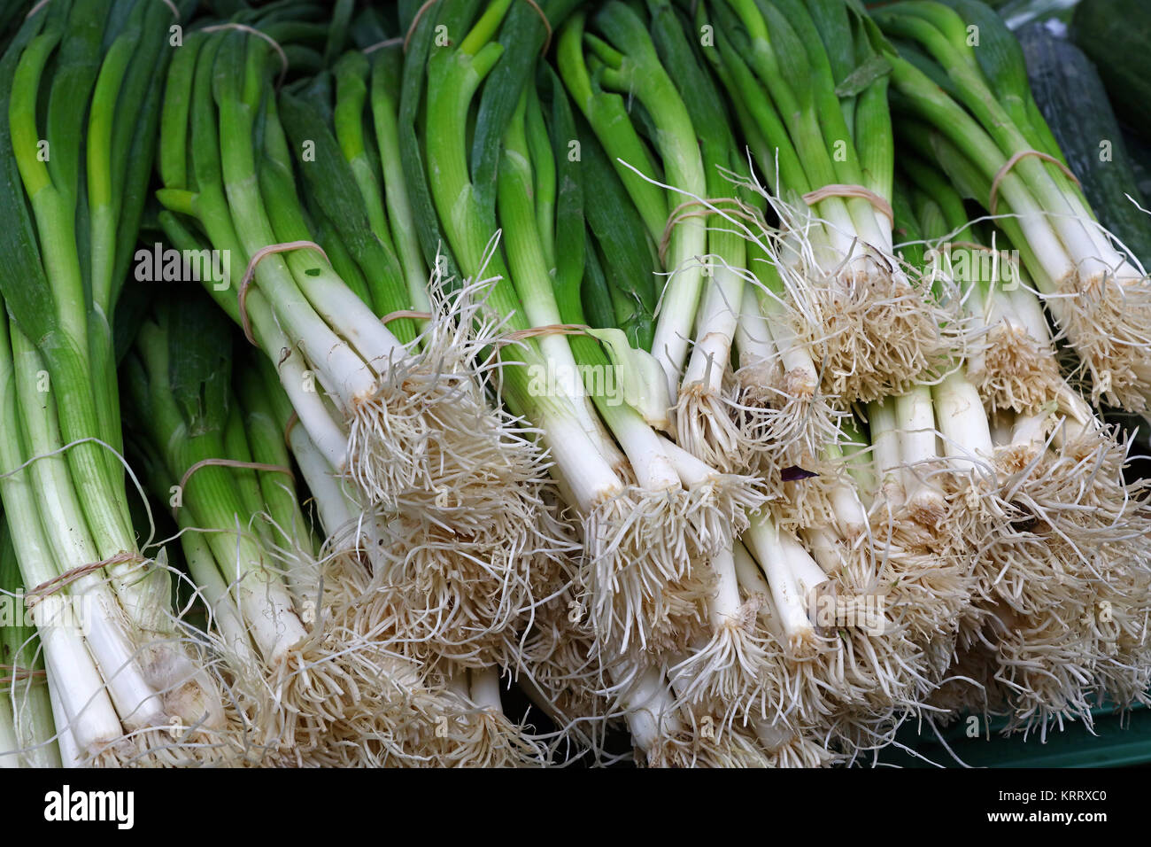 Bundles of spring onion hi-res stock photography and images - Alamy