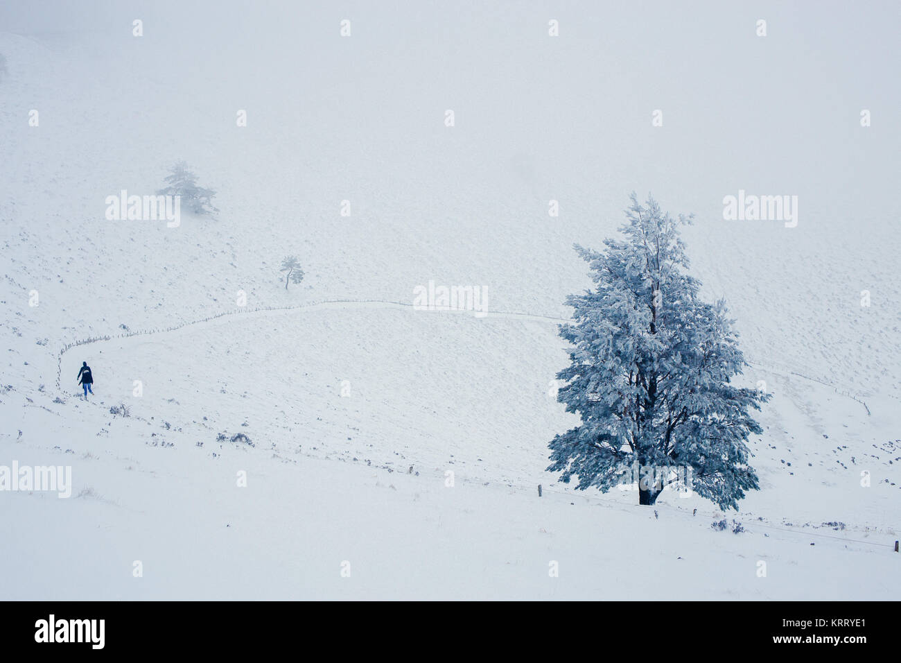 Snow moutain landscape during winter Stock Photo - Alamy