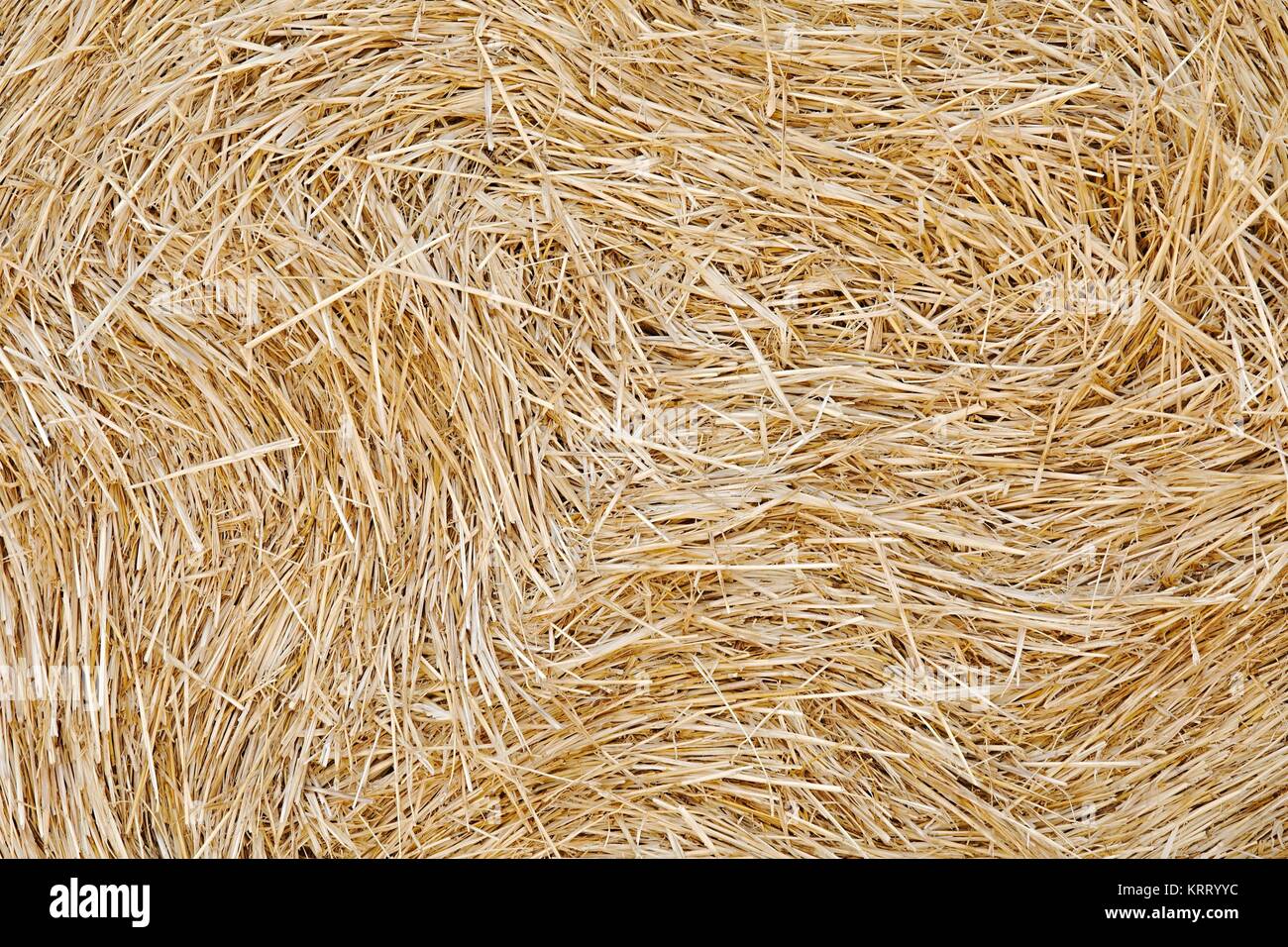 Haystack closeup texture Stock Photo - Alamy
