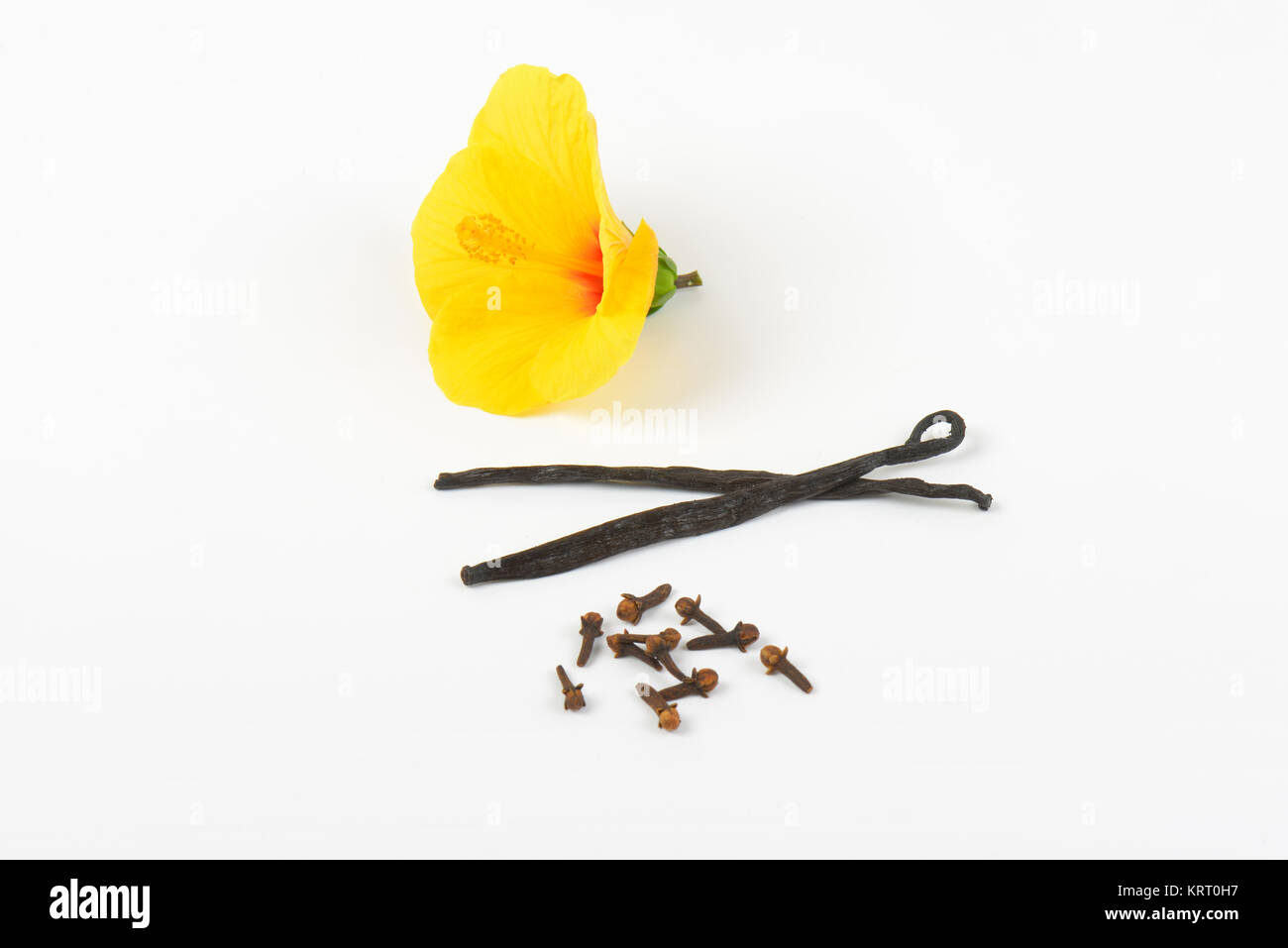 hibiscus flower and spices Stock Photo - Alamy