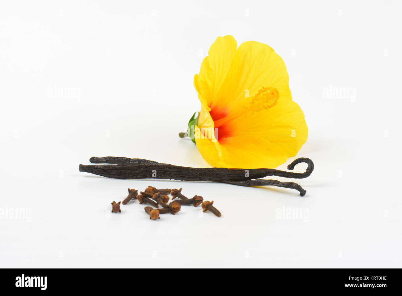hibiscus flower and spices Stock Photo - Alamy