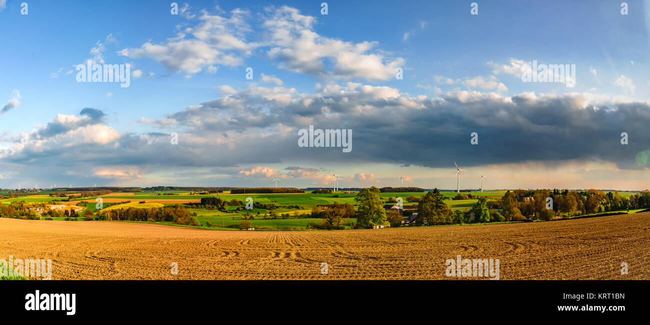 Colorful fields in belgian countryside panoramic view with windmill on ...