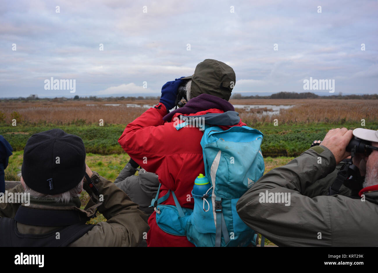Group of people watching the starling murmuration as the birds come in ...