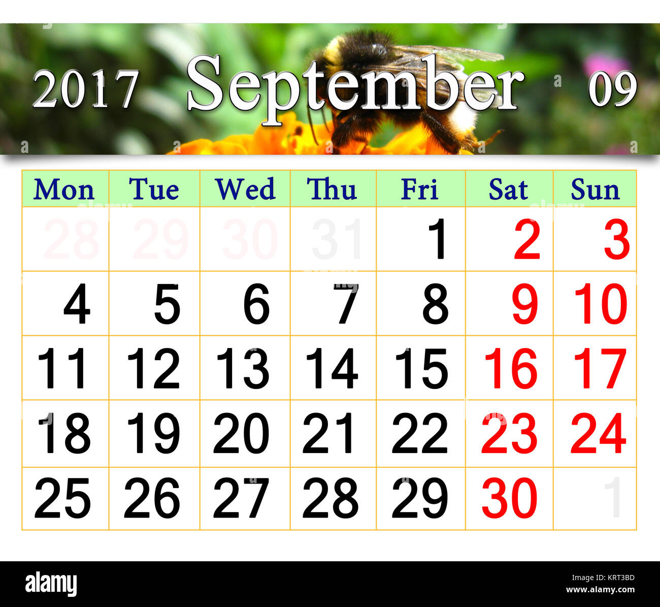 calendar for September 2017 with bumblebee on the marigold Stock Photo ...