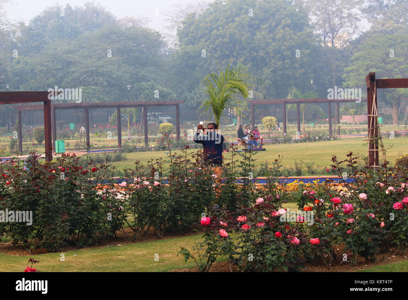 Young man clicking photograph with his smart phone in National Rose ...