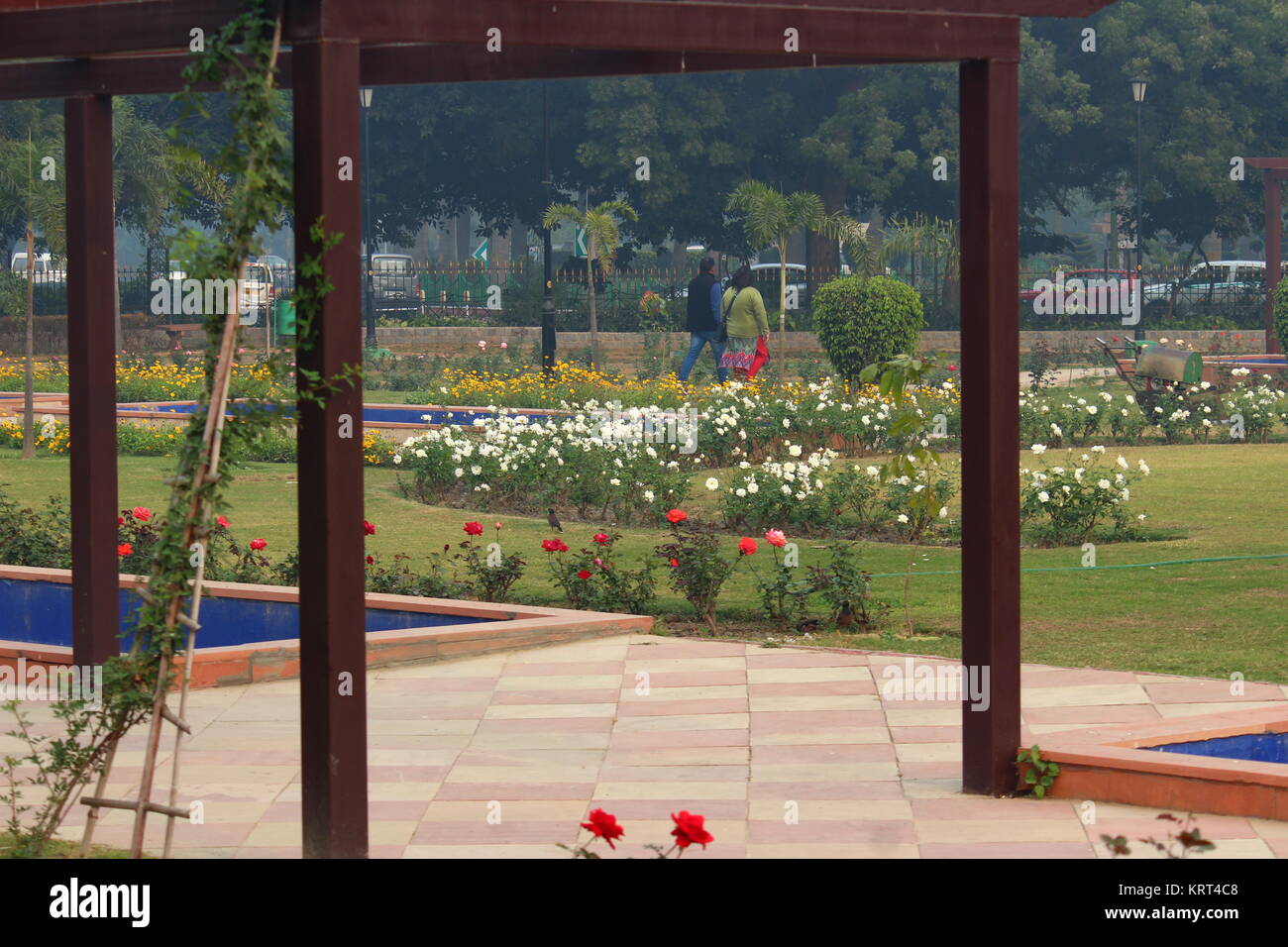 National rose garden delhi hi-res stock photography and images - Alamy