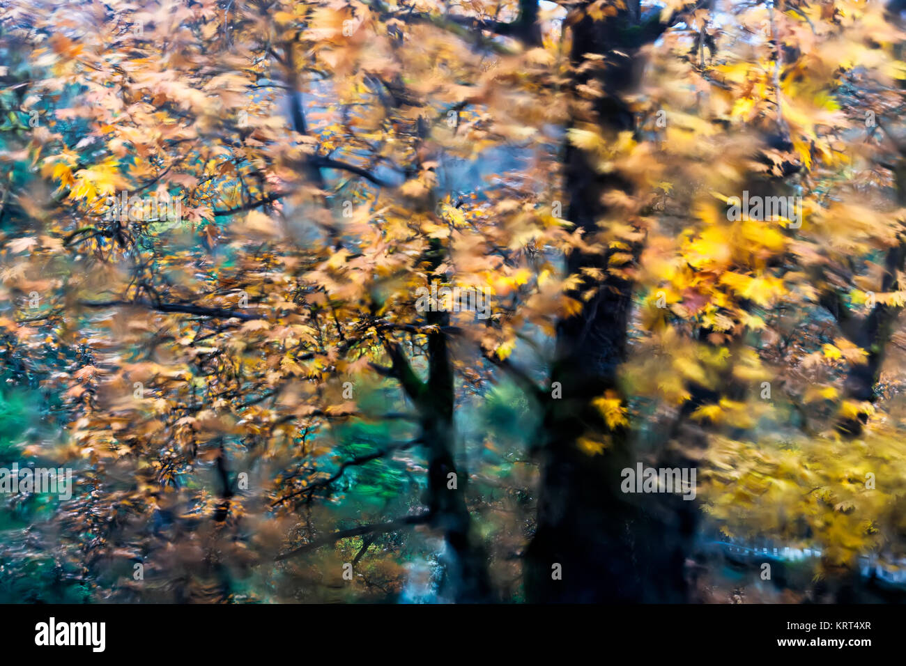 rain in the park glass wet surface with reflection, rain drops on the ...