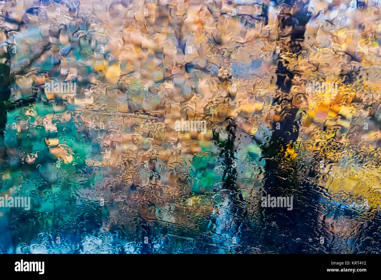 rain in the park glass wet surface with reflection, rain drops on the ...