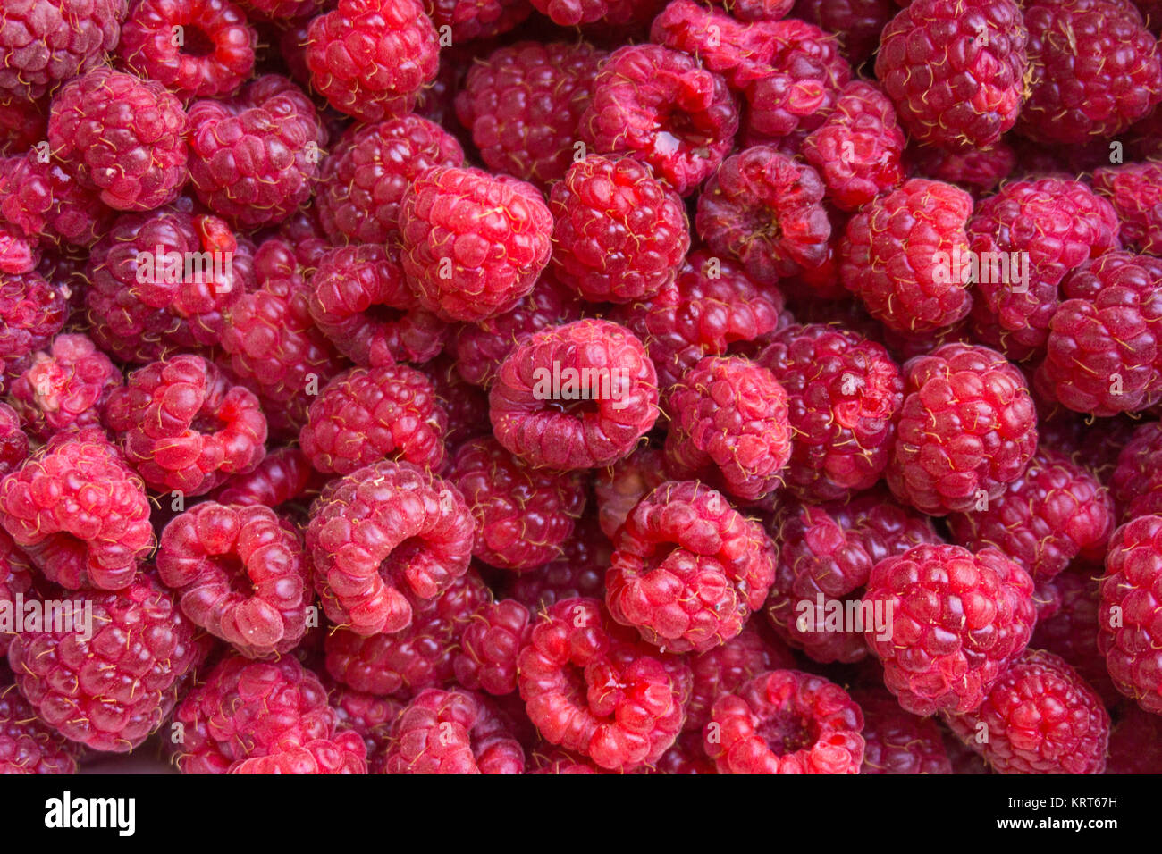 Fresh raspberries background Stock Photo - Alamy