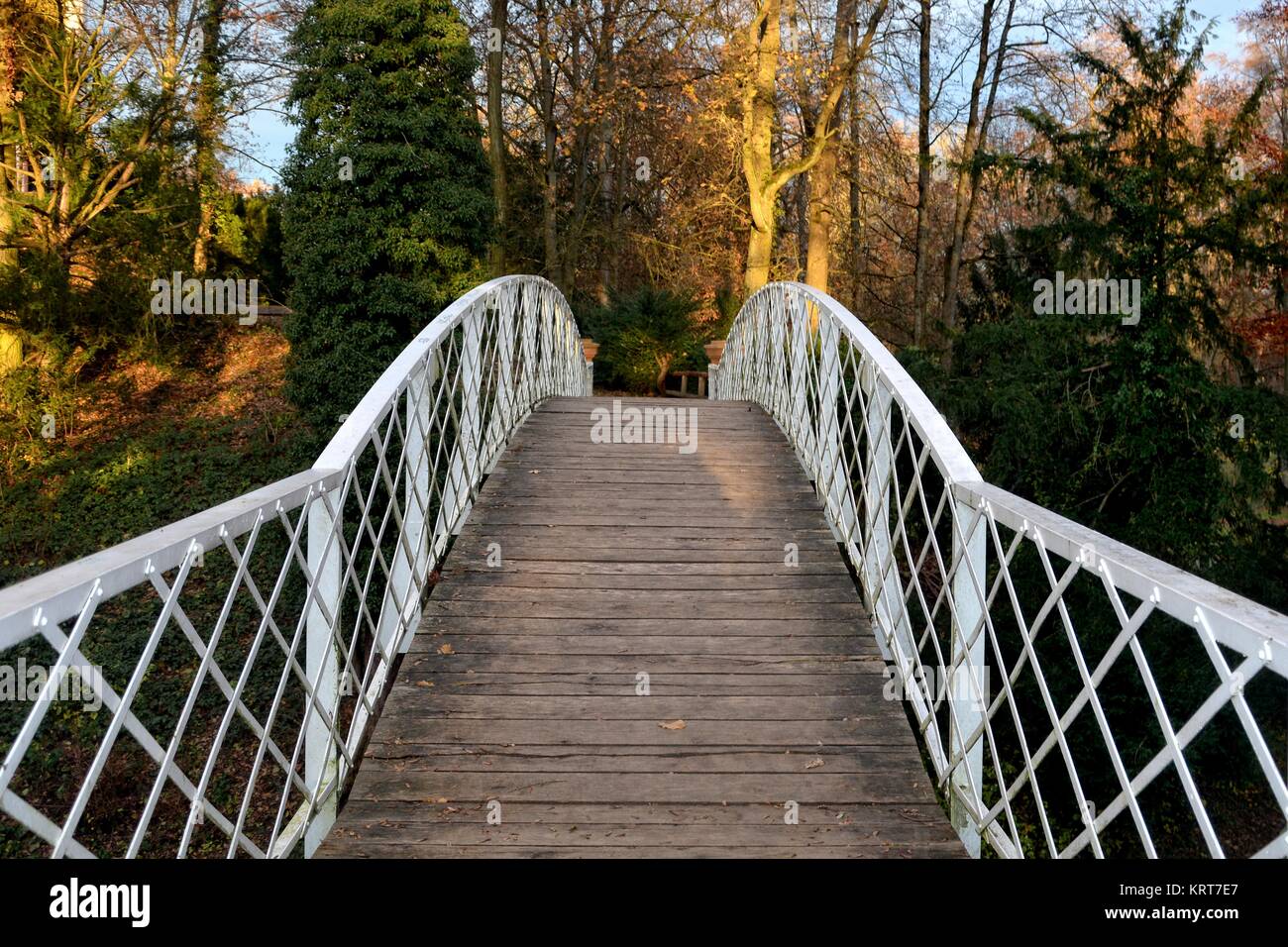 arch bridge made of wood with white metal terrain and autumnal trees ...