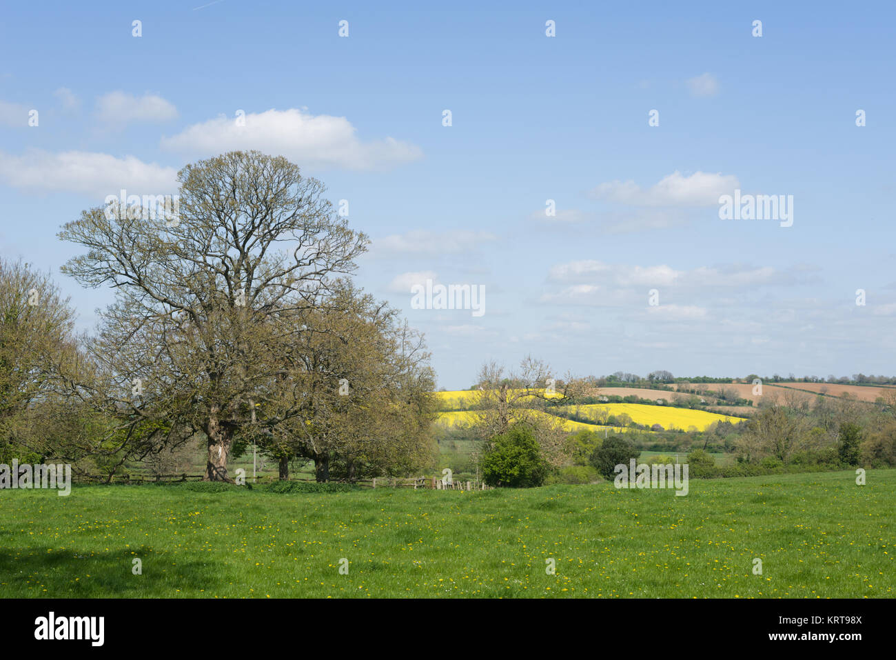 A rural view over countryside surrounding Chastleton House, Chastleton ...